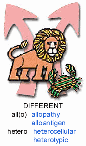 Dental Hygiene Board Review CD by www.AndyFutureRDH.com